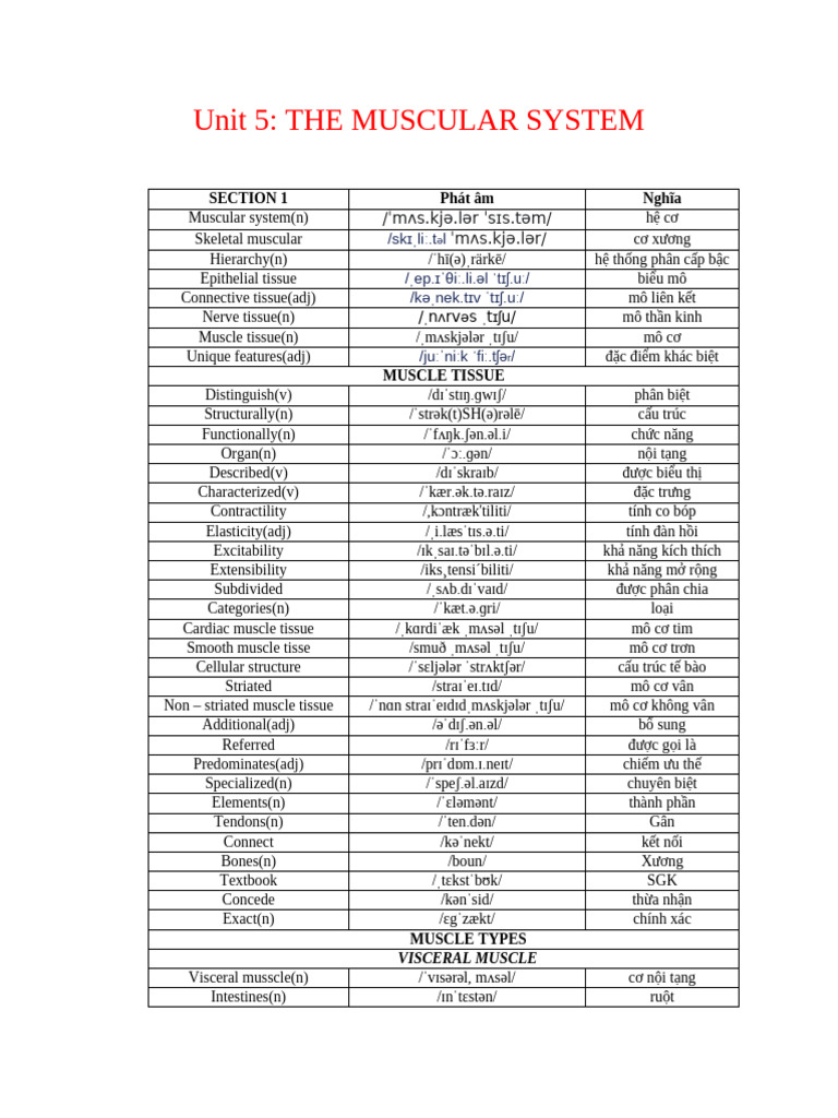 UNIT 5 1 Muscular System | PDF