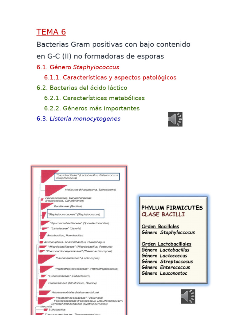 Tema 6c. Bacterias Gram Positivas No Esporuladas Mp3 | PDF