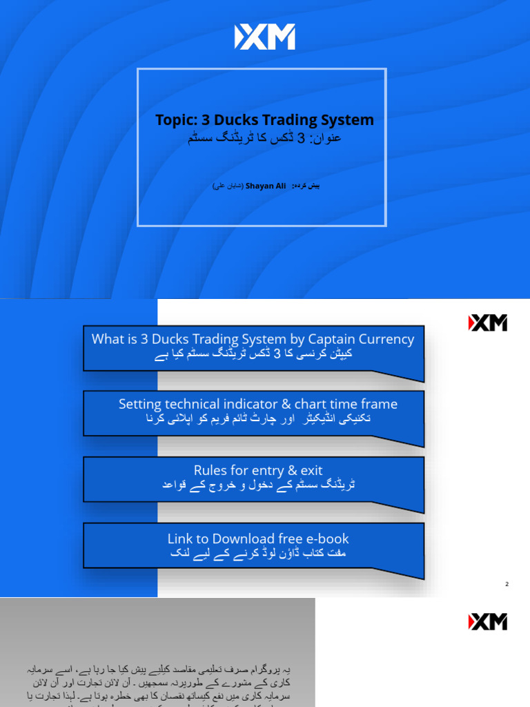 3 Ducks Trading System | PDF