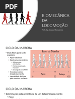 Fases e Análise da Marcha Humana | PDF | Joelho | Movimentos anatômicos
