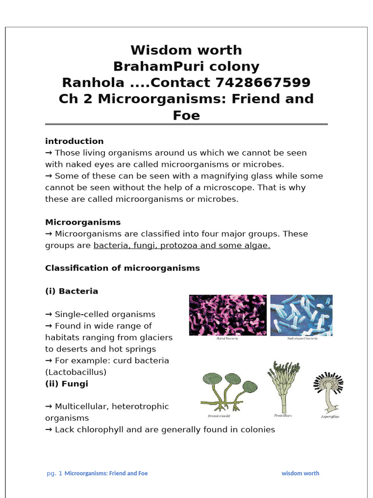 Microorganisms: Friend and Foe Overview | PDF | Microorganism | Bacteria