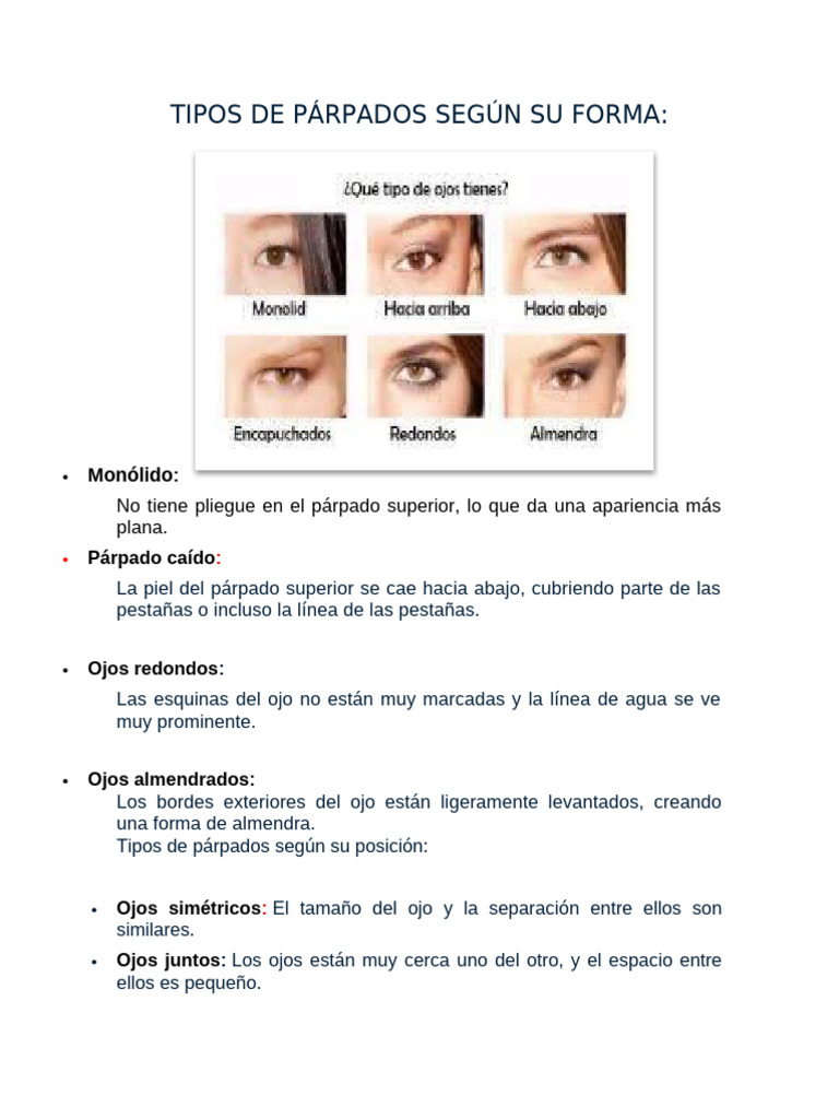 Tipos de Párpados y sus Características | PDF