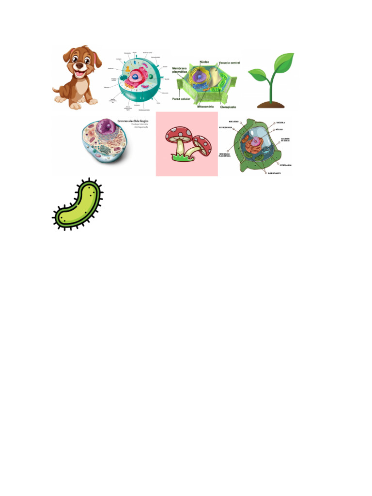Bioloo | PDF
