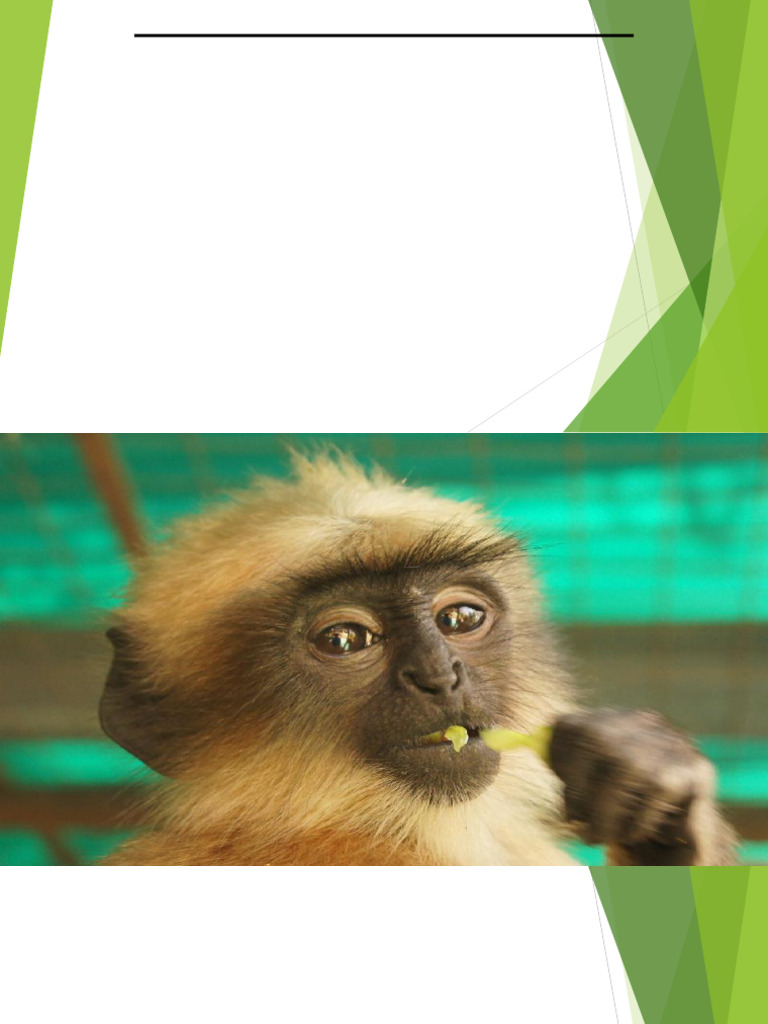 Calamity and Disaster Preparedness | PDF | Natural Disasters ...