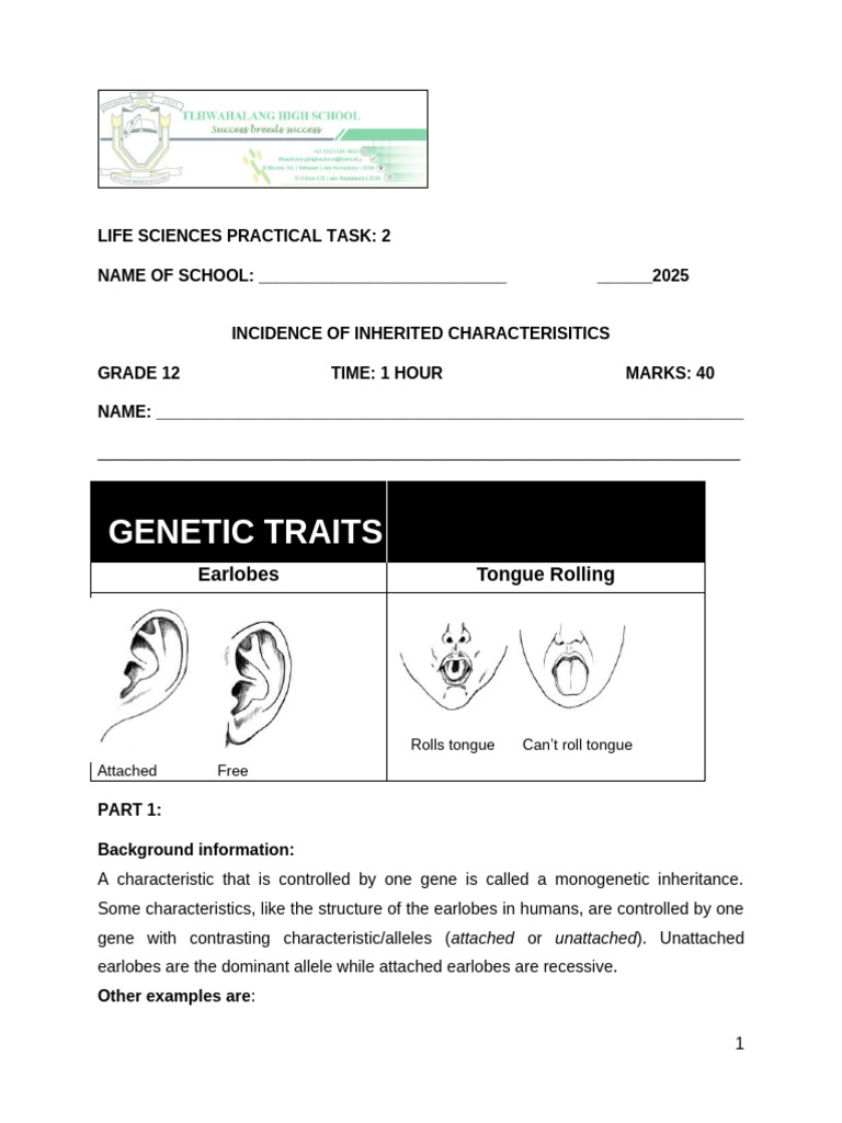 2025 GR 12 Genetics Practical Eng | PDF | Genotype | Dominance (Genetics)
