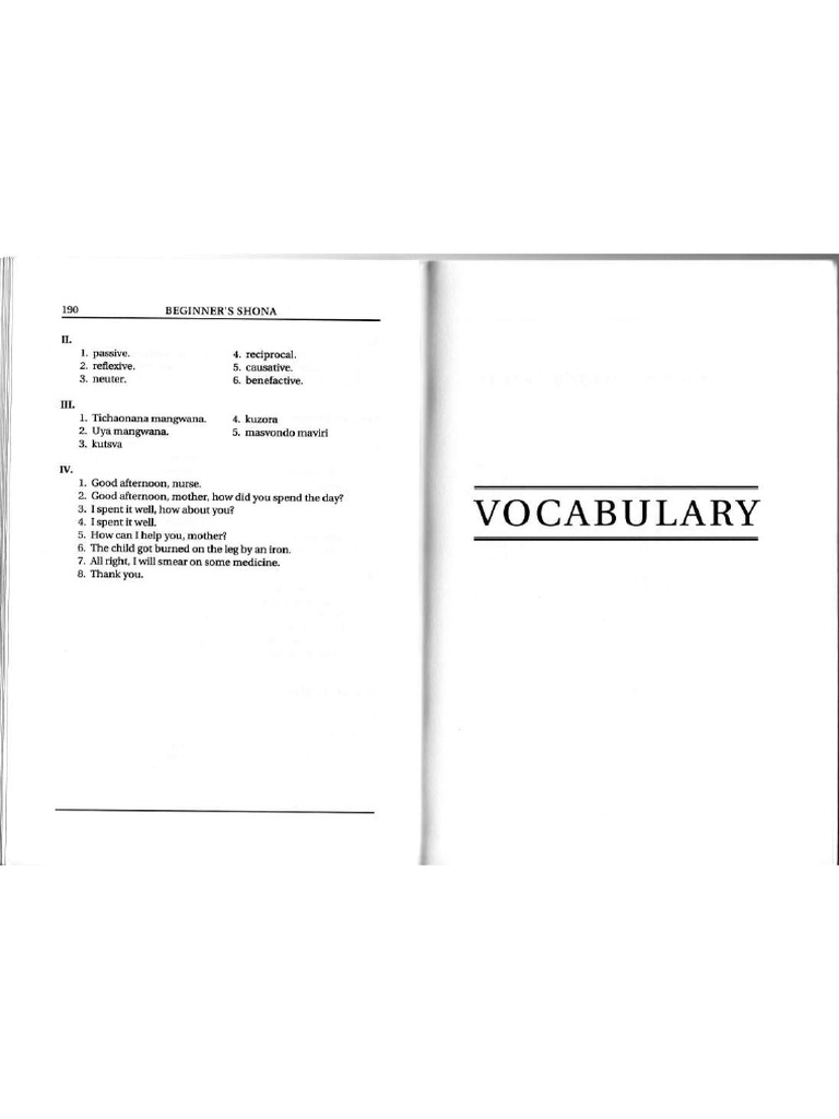 Shona Beginners | PDF