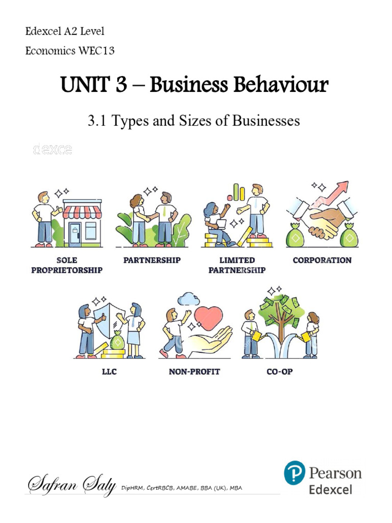 Types and Sizes of Businesses Explained | PDF | Mergers And ...