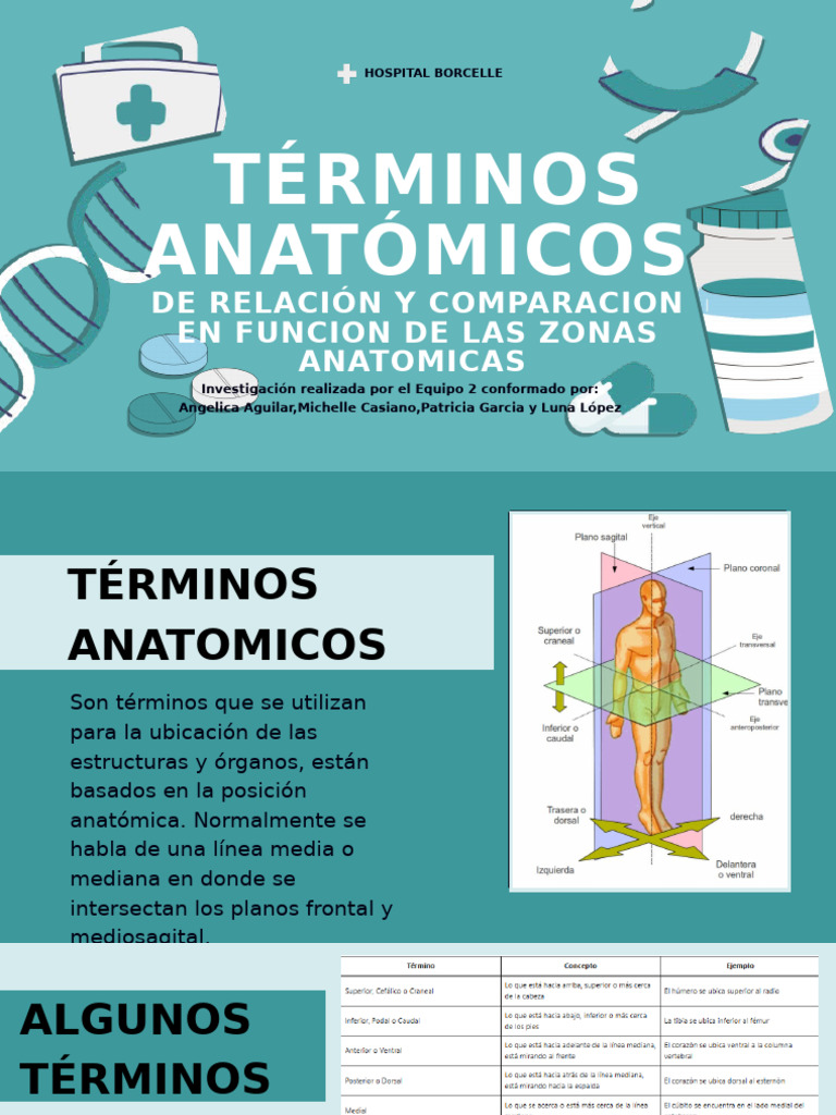 terminos anatómicos_20250128_154154_0000 | PDF