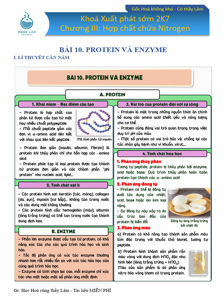 2K7.4. Protein - Enzyme | PDF