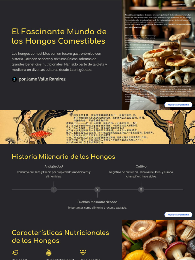 El Fascinante Mundo de Los Hongos Comestibles | PDF