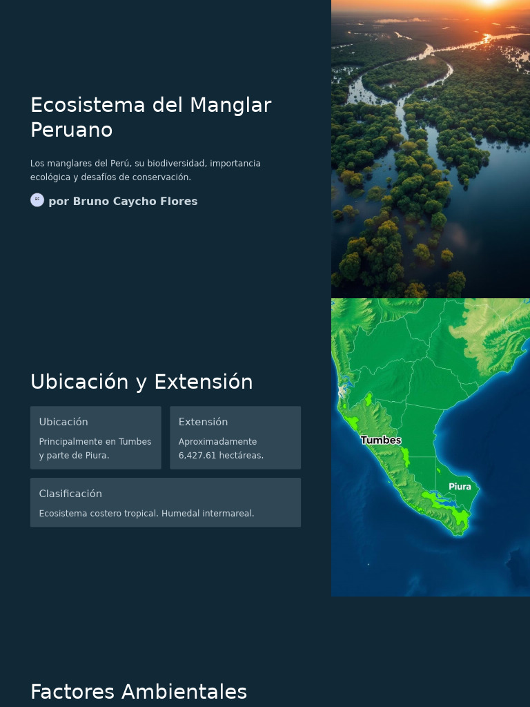 Ecosistema Del Manglar Peruano Oficial | PDF | Mangle | Ecosistema