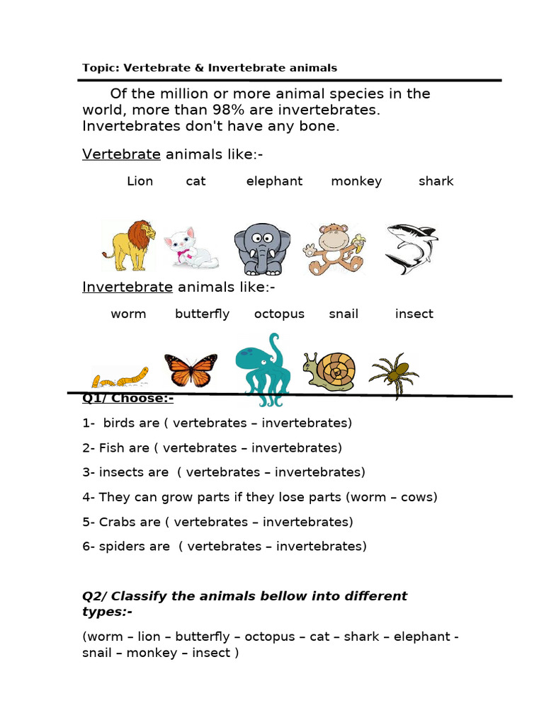 Vertebrate Invertebrate Fun | PDF