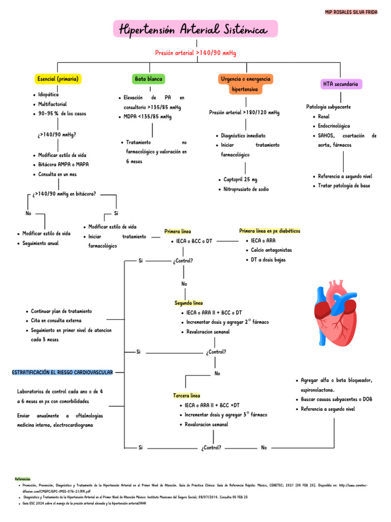 Has CST PDF | PDF | Hipertensión | Sistema cardiovascular