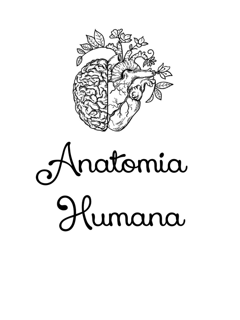 Anatomi 1 Pdf