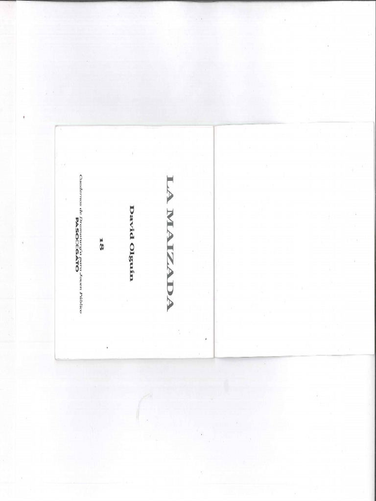 MAIZADA | PDF