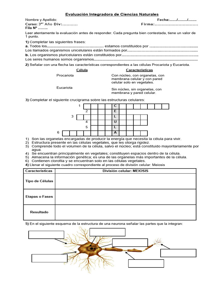Eval Integradora Biologia Secundaria | PDF | Biología Celular) | Organismos