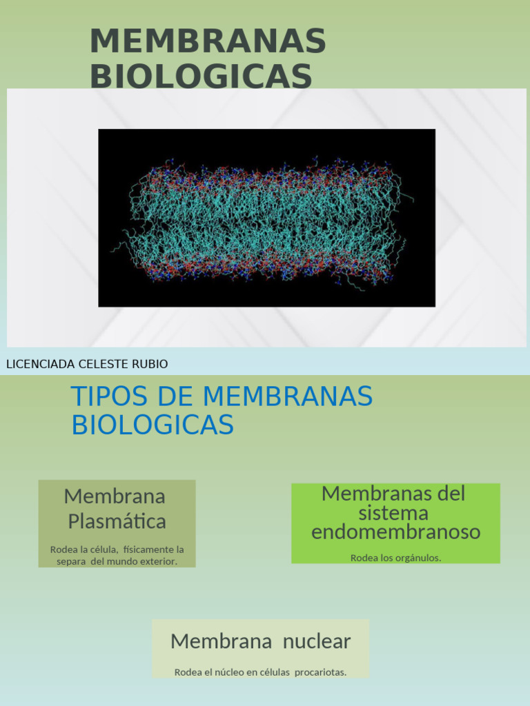 Membranas Biologicas | PDF | Membrana celular | Membrana biológica