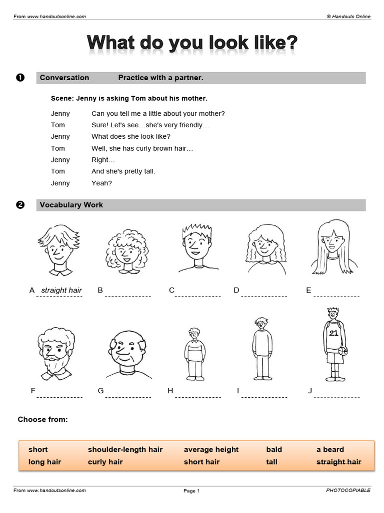 Conversation Practice: Describing People | PDF | Hair | Human Hair