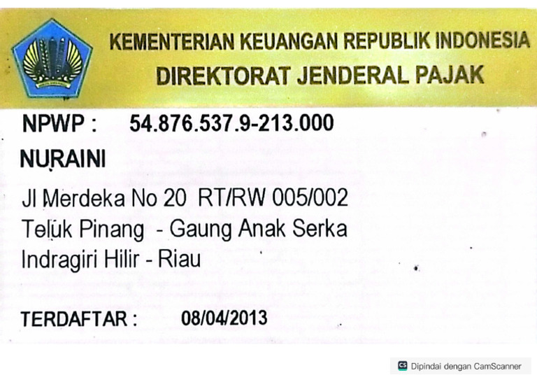 NPWP Nuraini | PDF