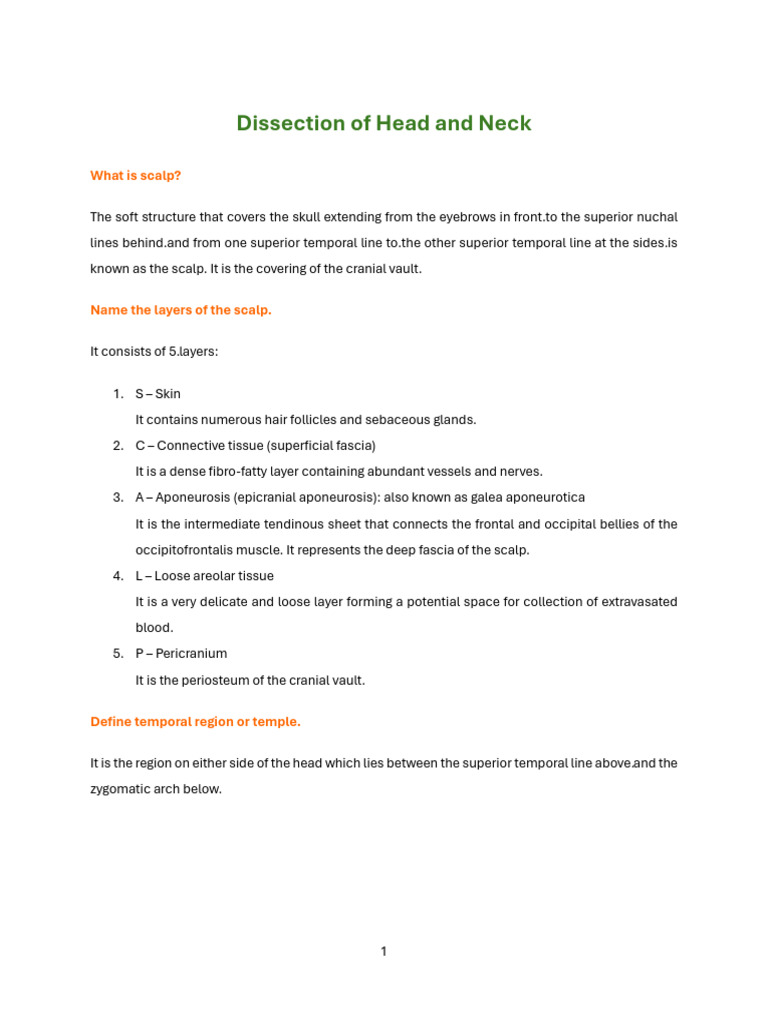 Dissection of Head and Neck | PDF | Neck | Common Carotid Artery