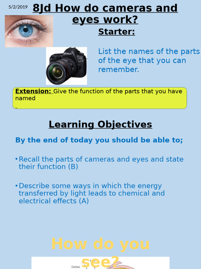 Comparing Cameras and Human Eyes | PDF | Eye | Human Eye