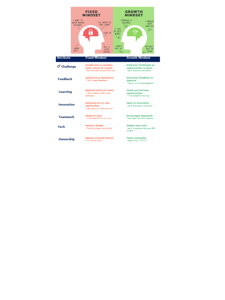 Mindset Comparison | PDF