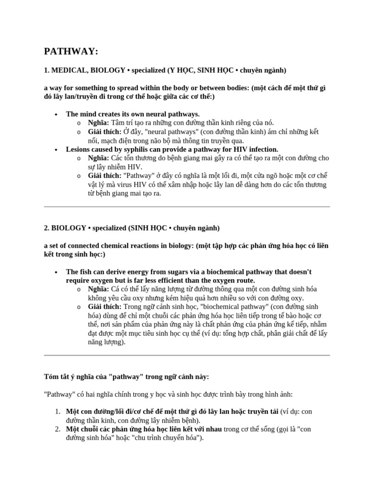 C1 Unit Mid, Body and Soul | PDF