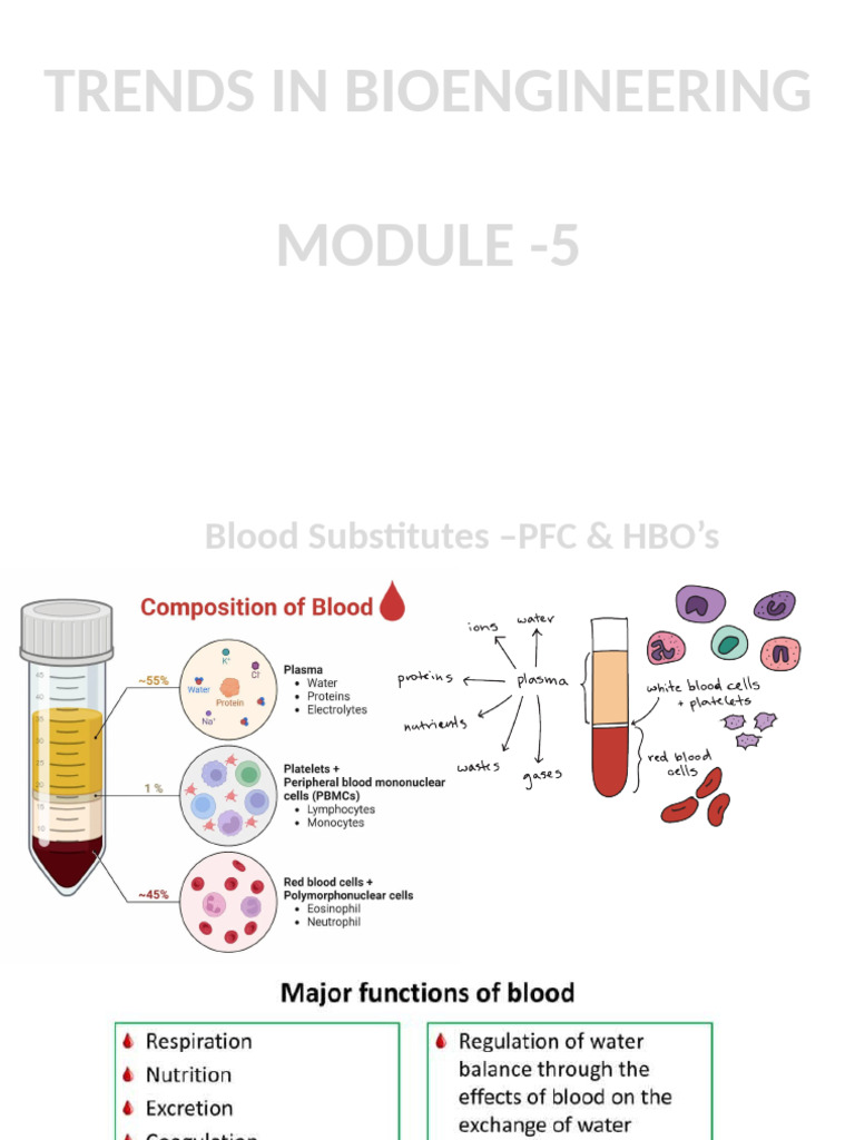 Module 5 | PDF