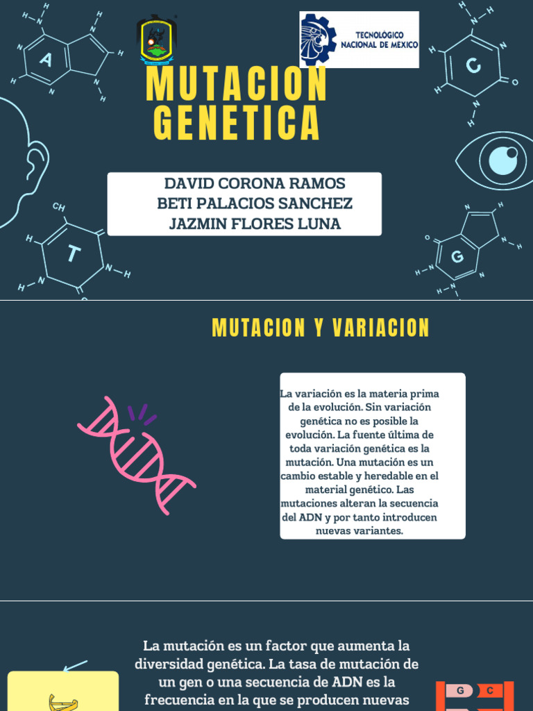 MUTACION | PDF | Mutación | Evolución