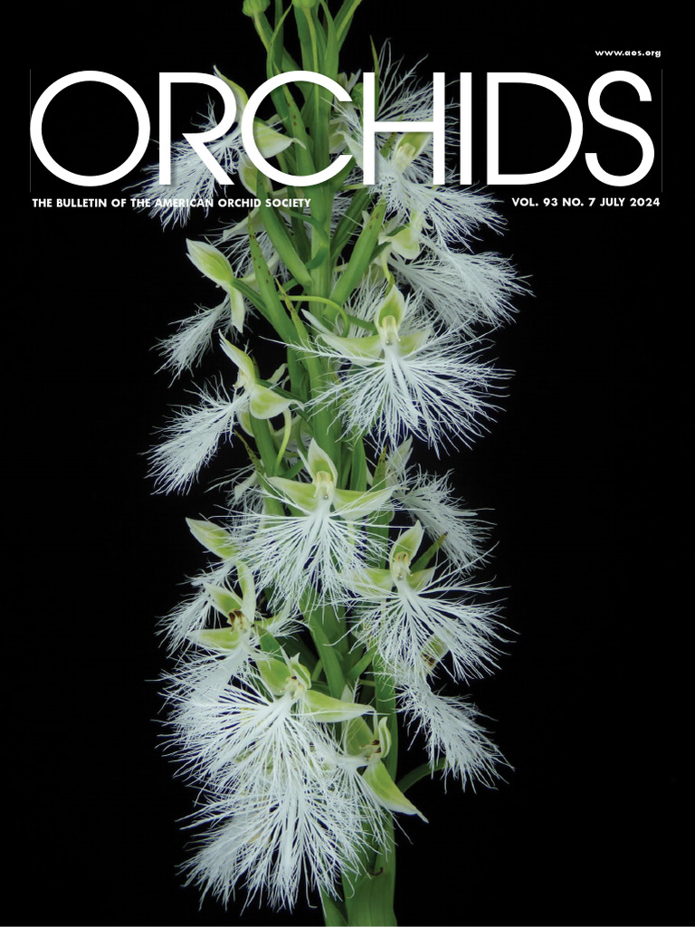 Orchids 20247 | PDF