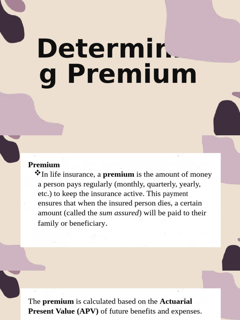Insurance Premium | PDF | Insurance | Present Value