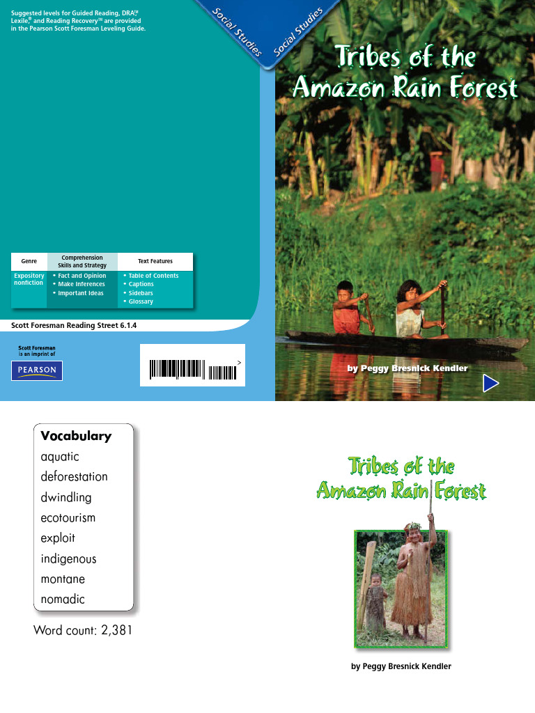 Tribes of The Amazon Rain Forest | PDF | Rainforest | Amazon Rainforest