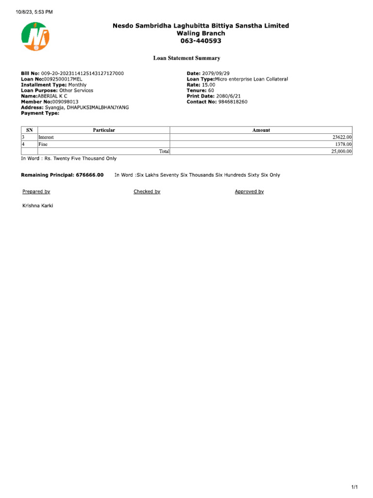 Loan Statement | PDF