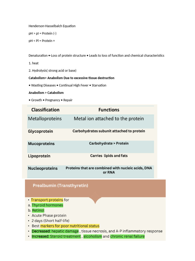Amino Acid (Semi Final Quiz) | PDF | Molecular Biophysics | Metabolism