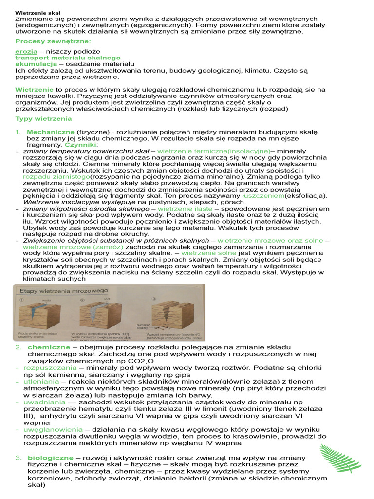 Bez Nazwy 5 | PDF