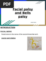 House Brackmann: Bels Palsy Score | PDF | Neurology | Diseases And Disorders
