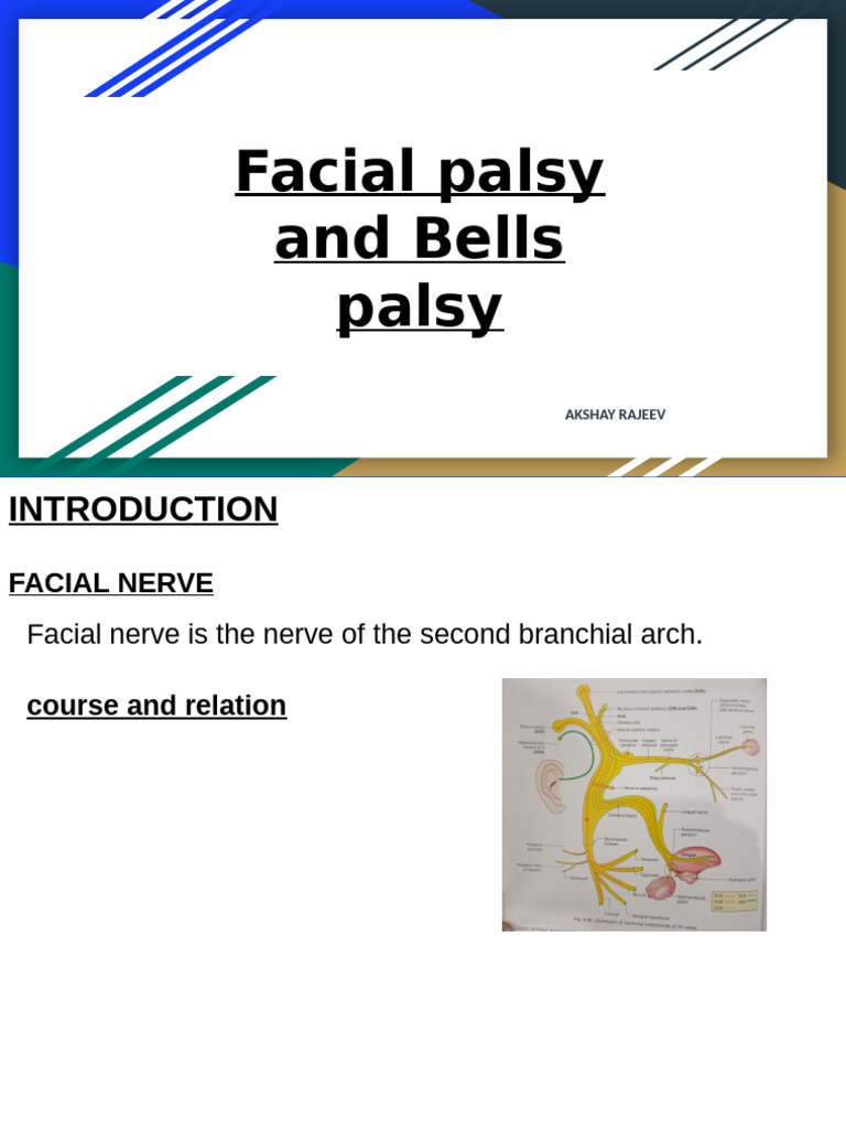 Understanding Facial and Bell's Palsy | PDF | Human Anatomy | Clinical ...