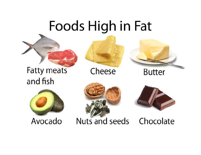 Fats | PDF