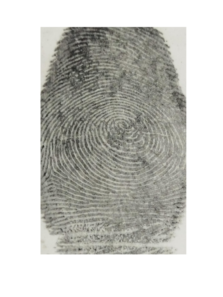 Fingerprint | PDF