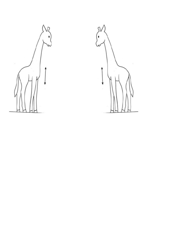 Giraffe Pattern | PDF