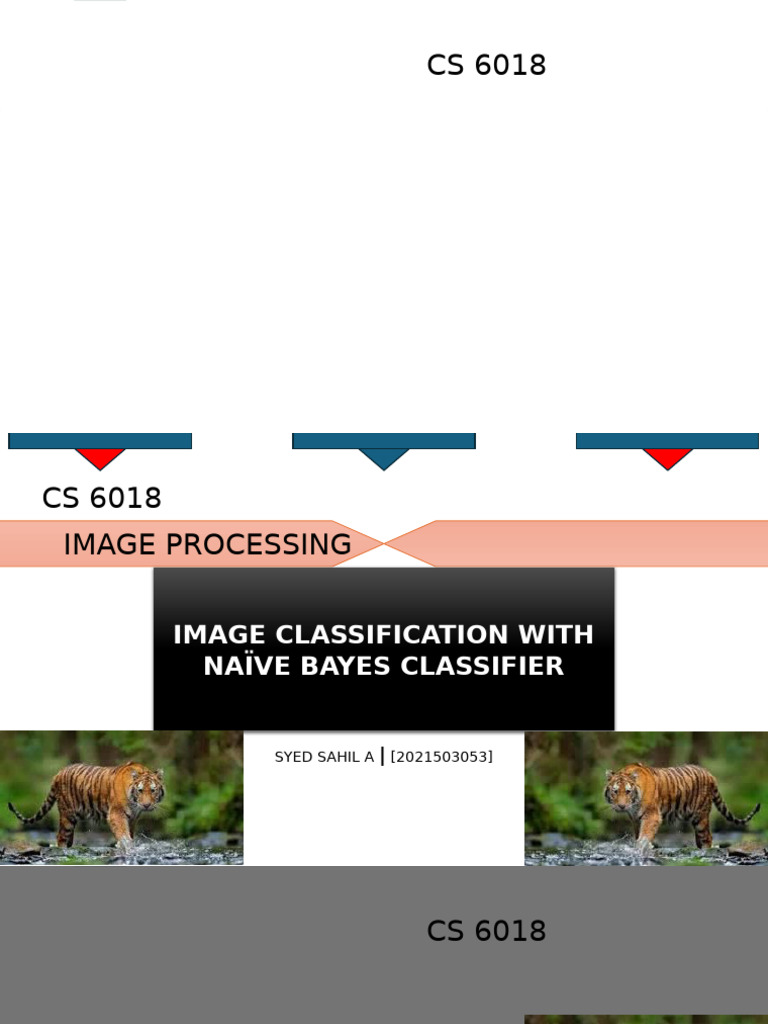Image Processing_Bayes Classifier | PDF