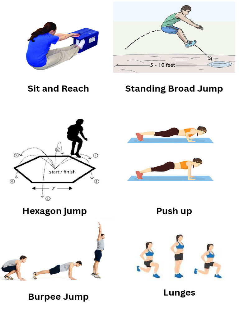 Sit and Reach | PDF