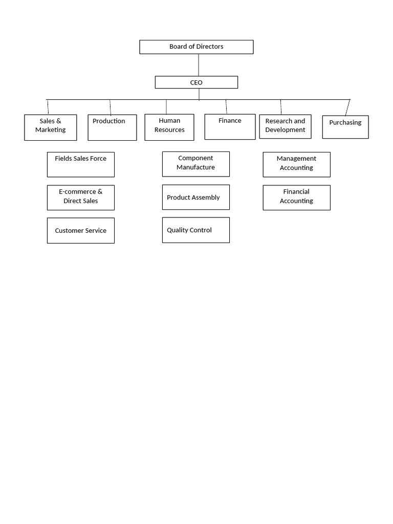 Organizational Structure Overview | PDF