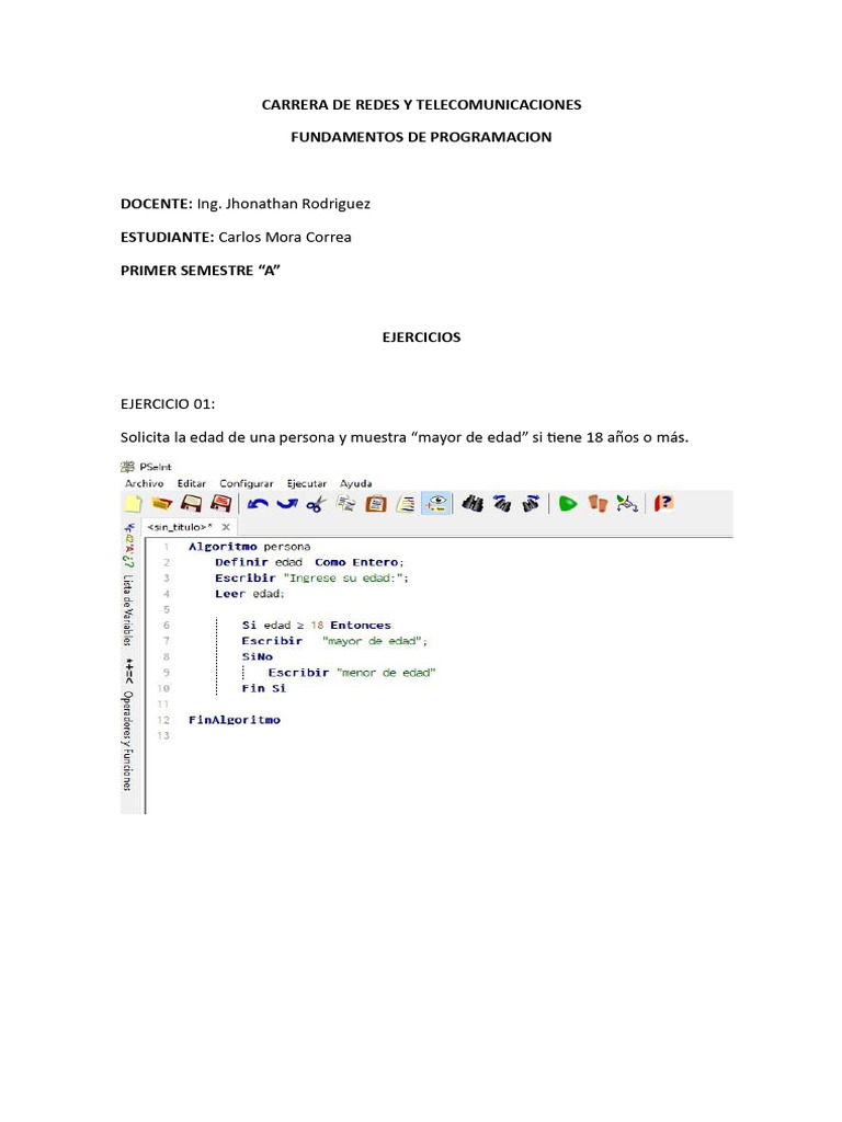 Ejercicios Programacion | PDF
