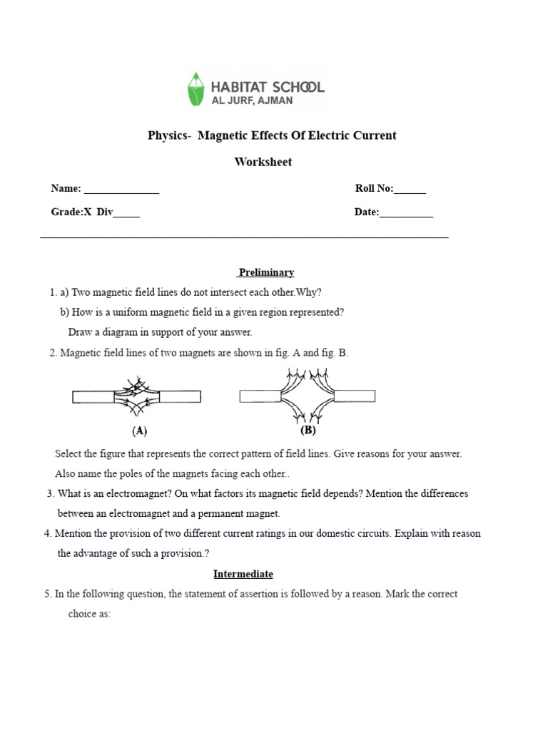 Magnetic Effects of Electric Current - WS | PDF | Magnetic Field ...