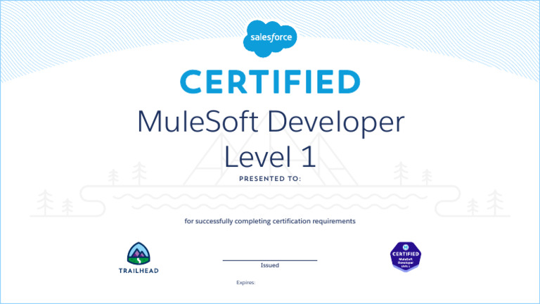 Mulesoft Certificate | PDF