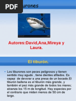 Exposicion Tiburones para Preescolar | PDF | Tiburones | Gran tiburón ...