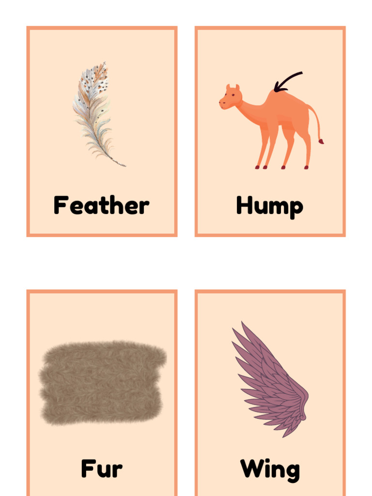 Orange Illustrative Animal Body Part Flashcard | PDF