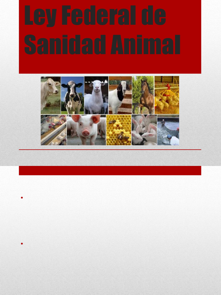 Ley Federal de Sanidad Animal en México | PDF | Laboratorios | Vigilancia