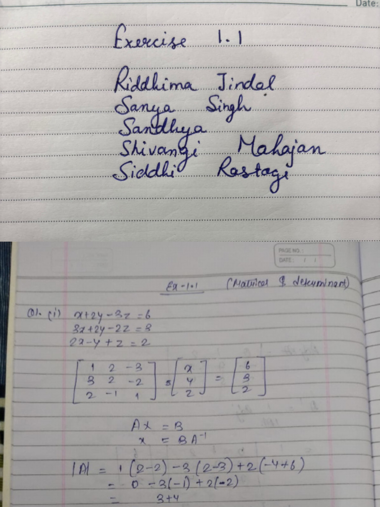 Maths Assignment Exercise-1.1 | PDF